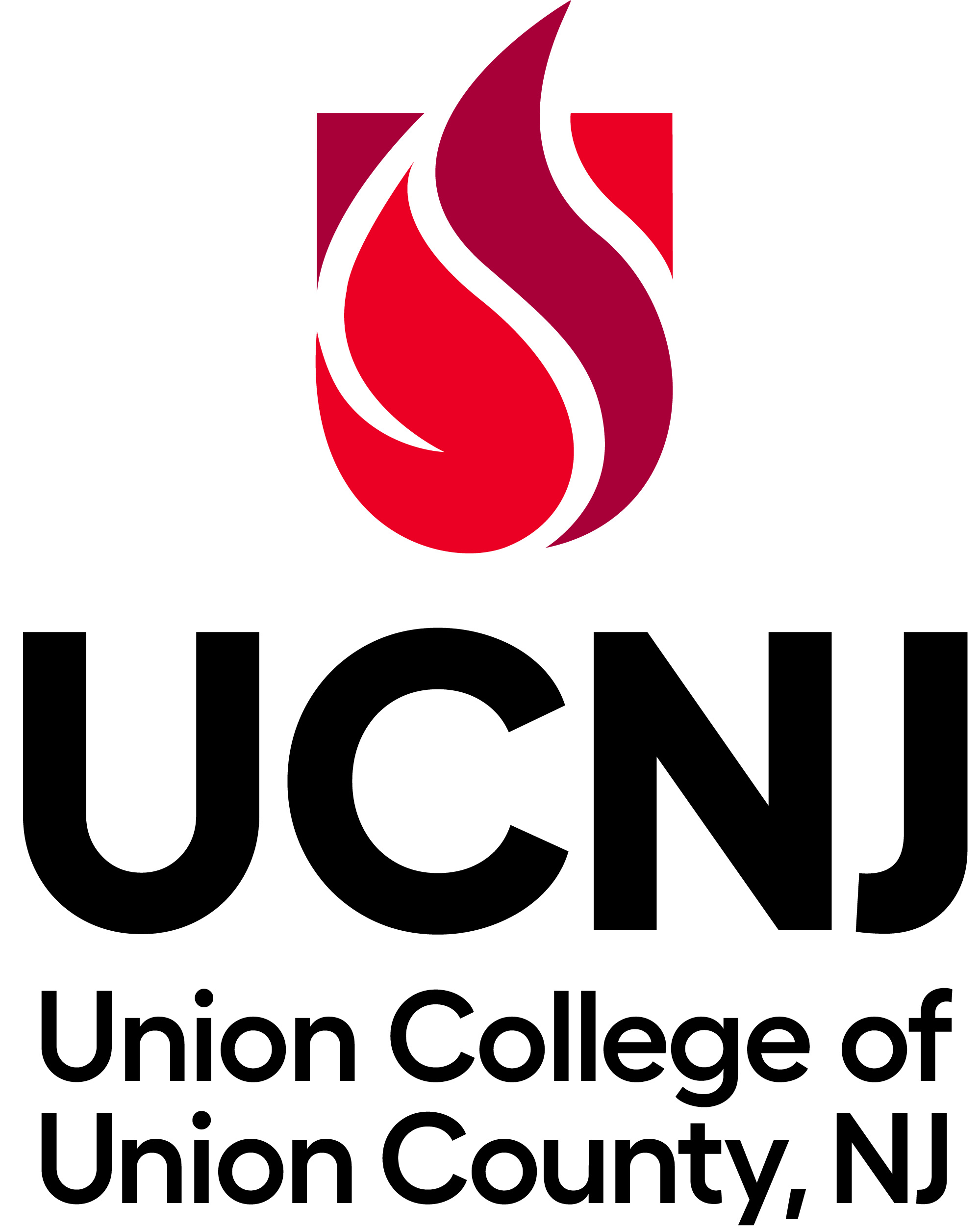 Steppingblocks Digital Career Insights